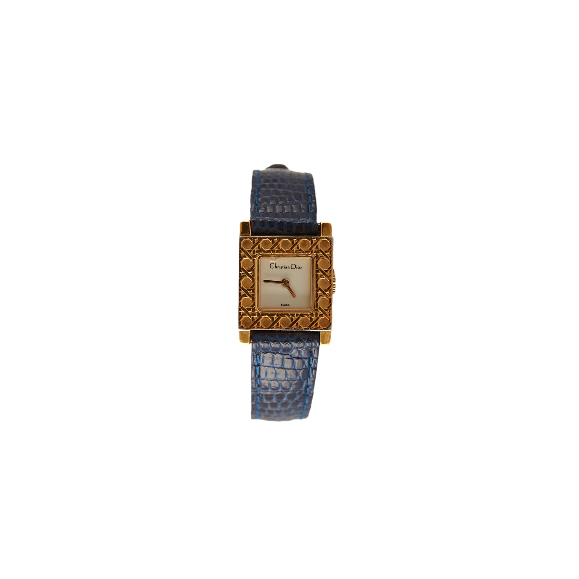 Dior Blue Snake Skin Watch – Treasures of NYC